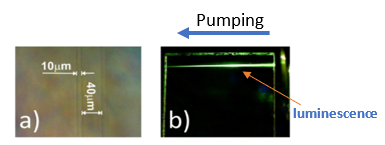 Femtosecond laser writing used to create passive and active dual ...